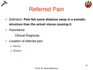 Pain physiology 2019 20 - ii | PPT | Physical Therapy | Wellness