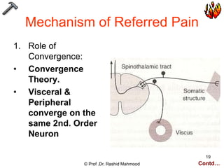 Pain physiology 2019 20 - ii | PPT