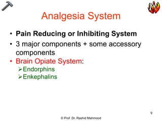 Pain physiology 2019 20 - ii | PPT