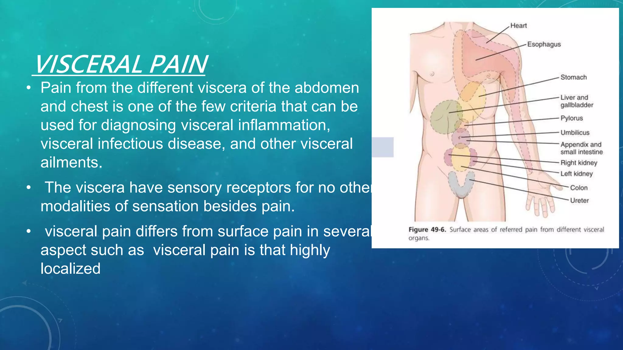 pain its physiology and pathways | PPTX