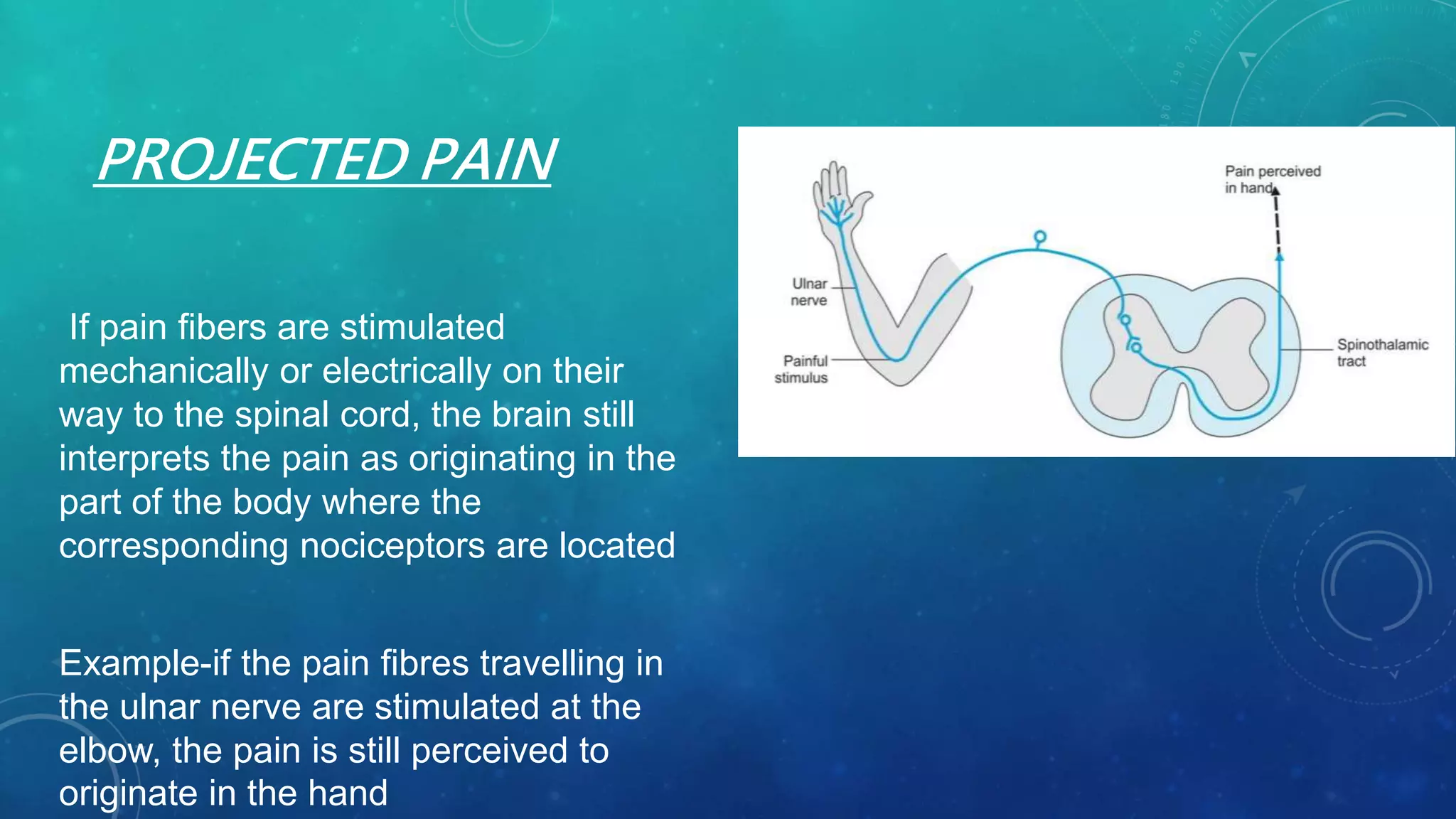 pain its physiology and pathways | PPTX