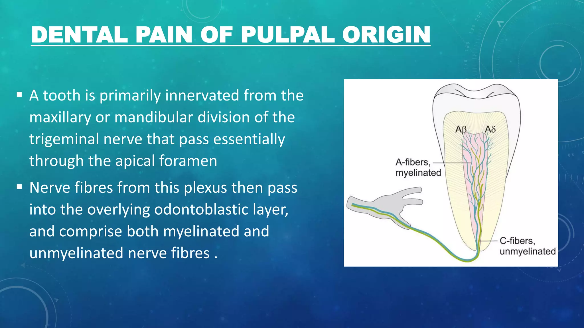 pain its physiology and pathways | PPTX