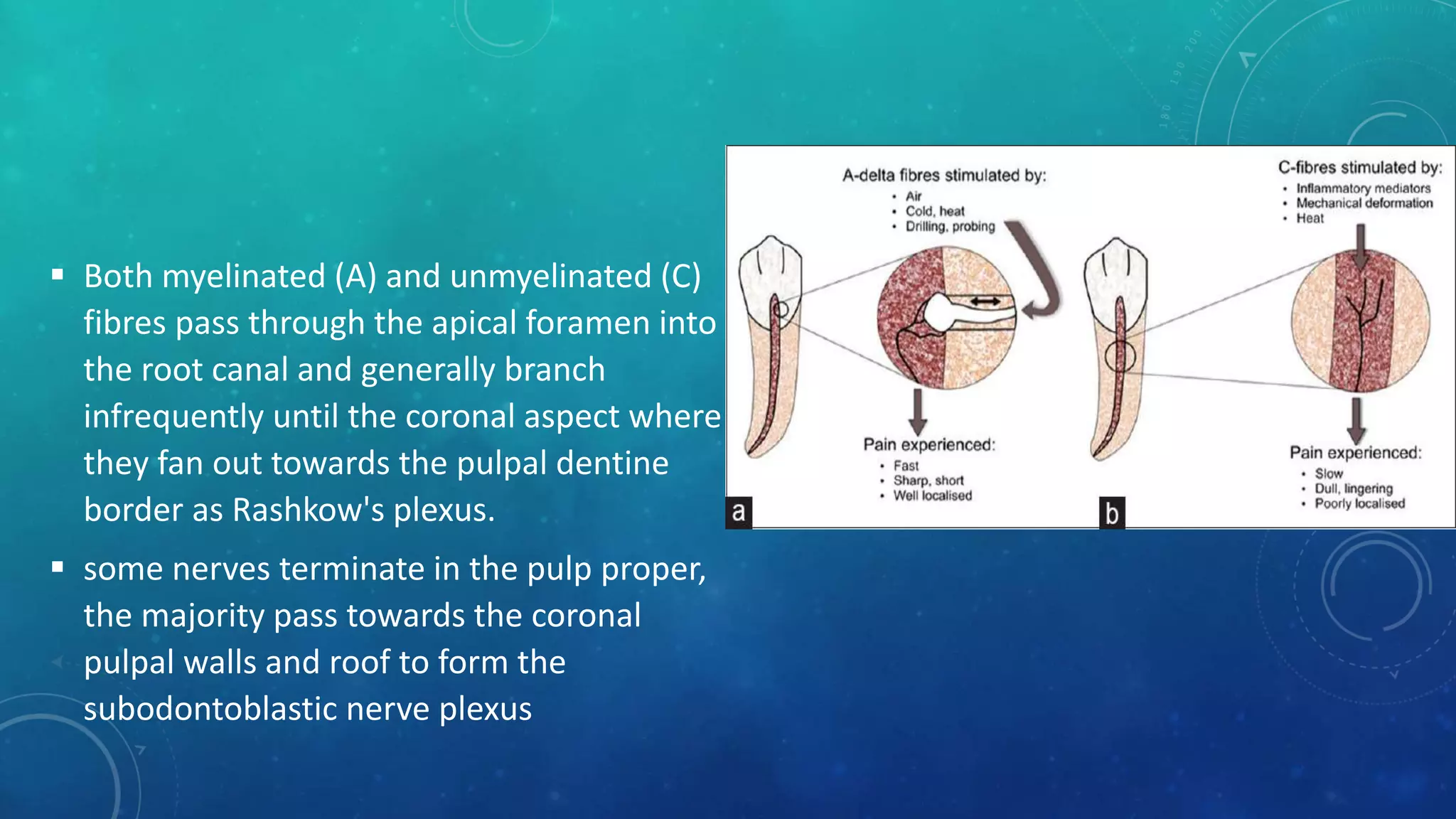 pain its physiology and pathways | PPTX