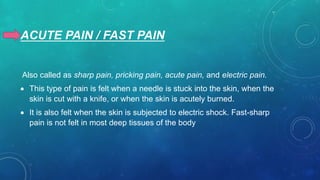 pain its physiology and pathways | PPTX