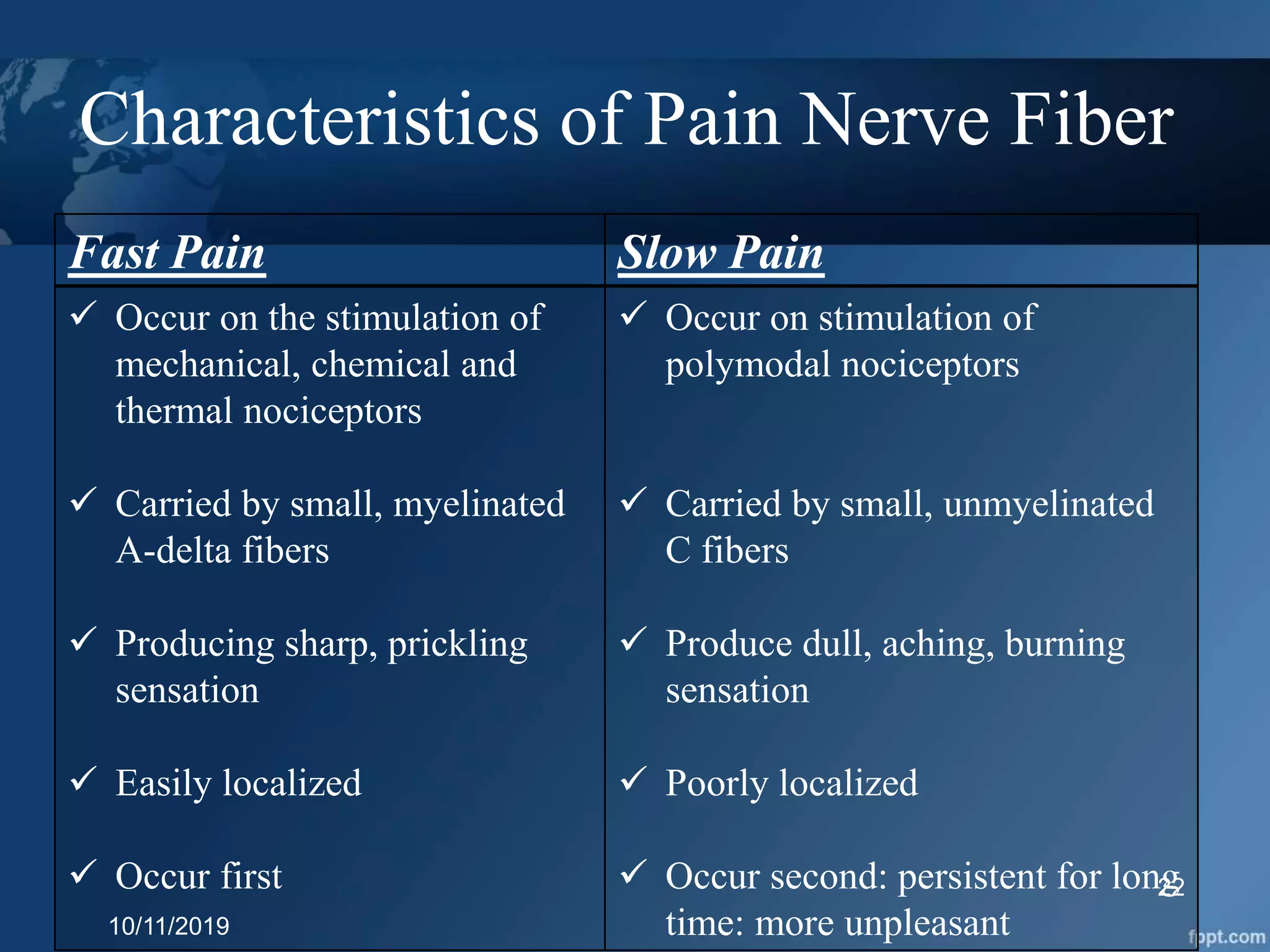 Pain Physiology | PPT