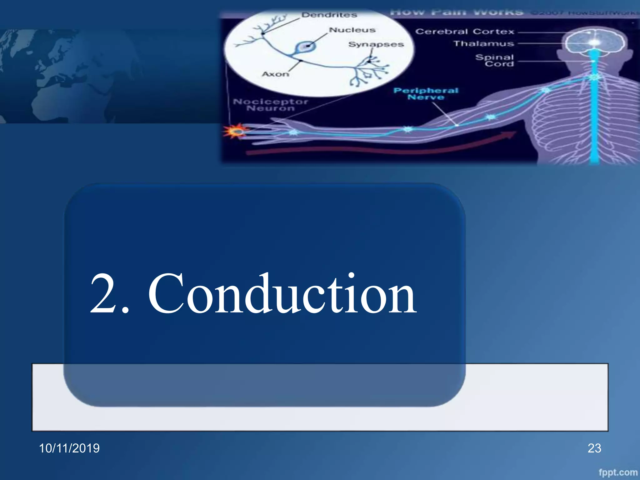 Pain Physiology | PPT