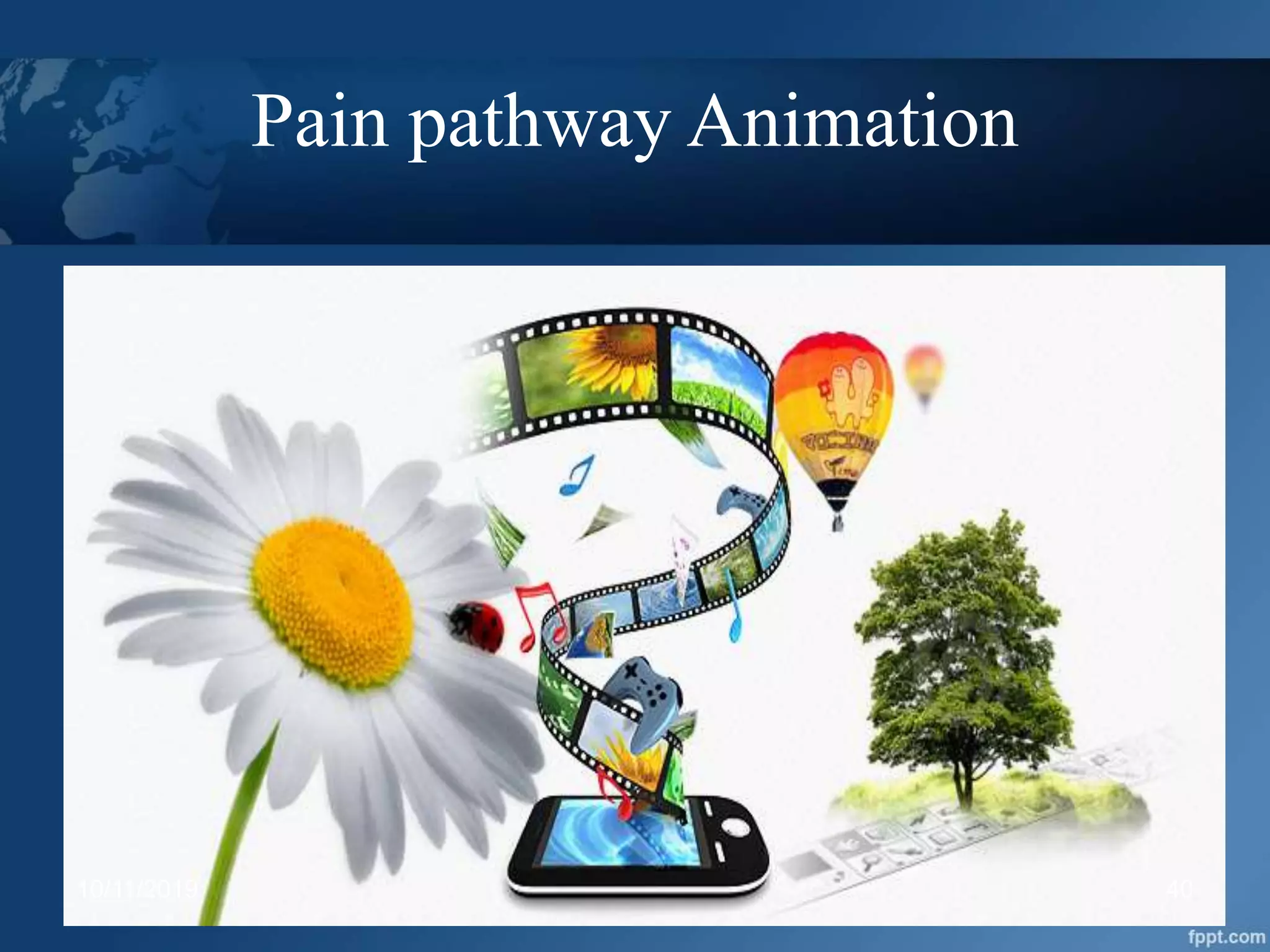 Pain Physiology | PPT