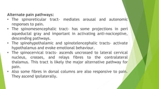 Pain pathway slides presentation by Dr Shayanika | PDF