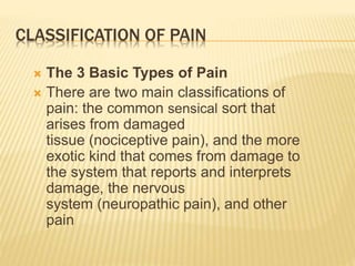 Pain presentation by basheer | PPTX