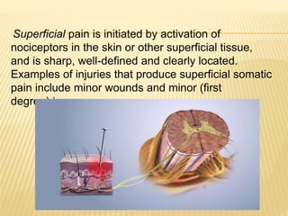 Pain presentation by basheer | PPTX
