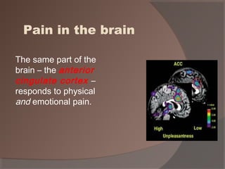 painpsychology-160914155456.pdf
