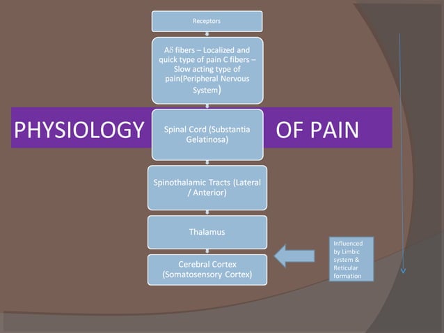 Pain psychology | PPT | Physical Therapy | Wellness