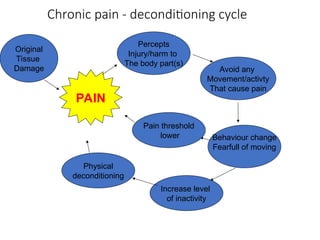 Pain Rehabilitation the process of managing pain and assessment | PPT