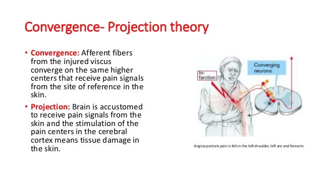 Pain sensation. hussein farouk sakr