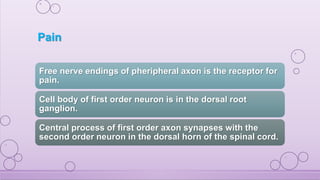 Pain systems | PPT