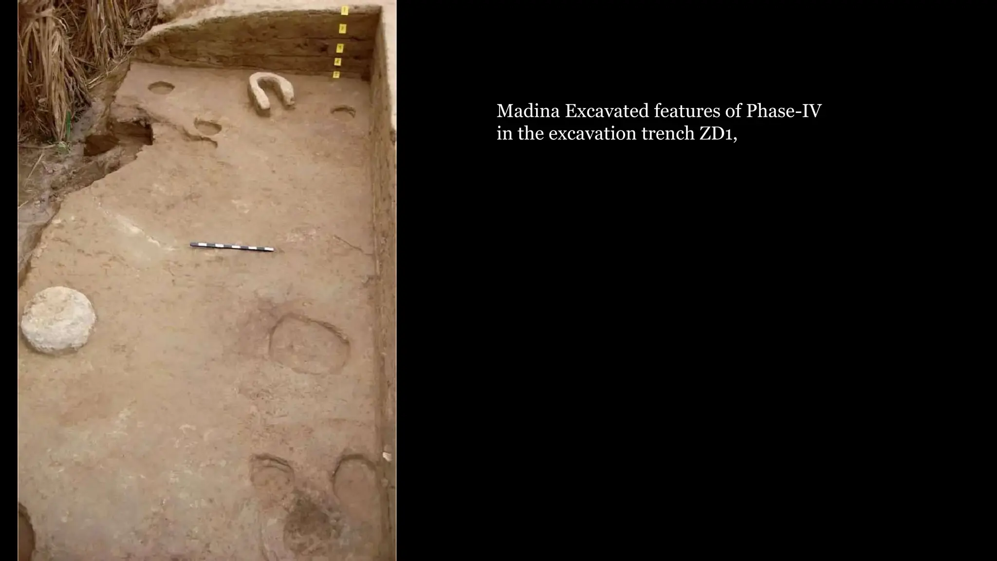 Painted Grey Ware.pptx, PGW Culture of India | PPTX