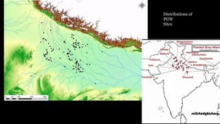 Painted Grey Ware.pptx, PGW Culture of India | PPTX