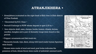 Unveiling the Painted Grey ware culture.pptx