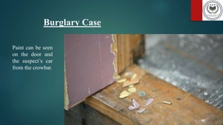 PAINT EVIDENCE COLLECTION | PPTX