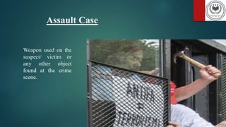 PAINT EVIDENCE COLLECTION | PPTX