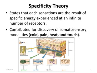Pain theory & management | PPT