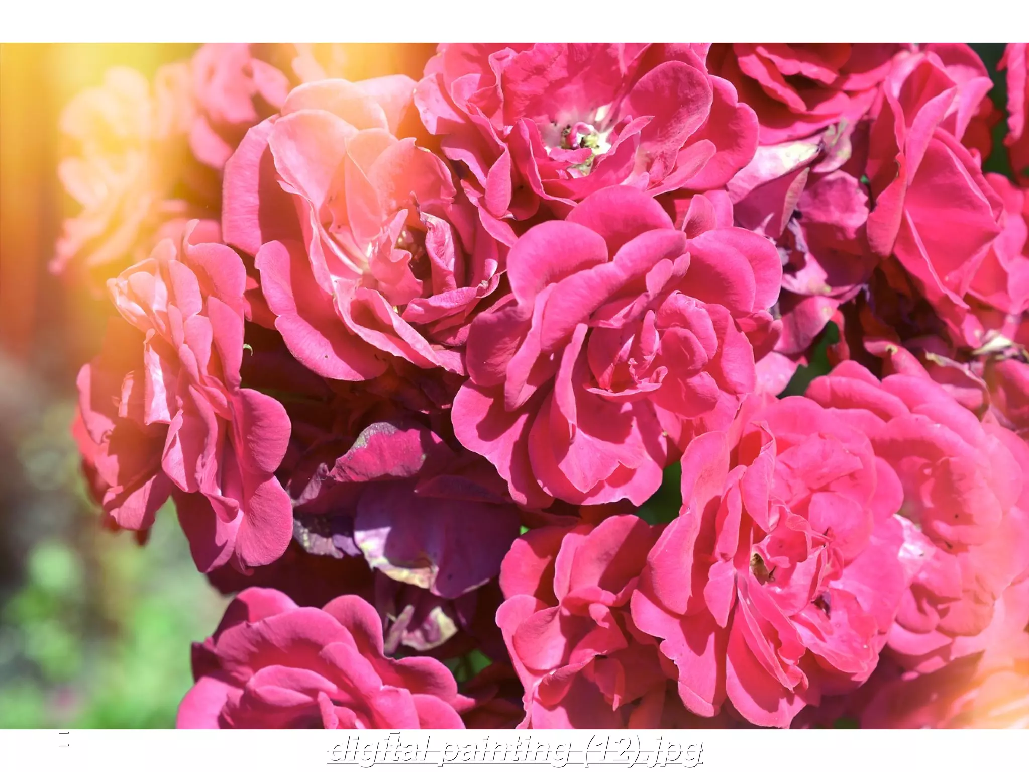 Rose in digital painting | PPT