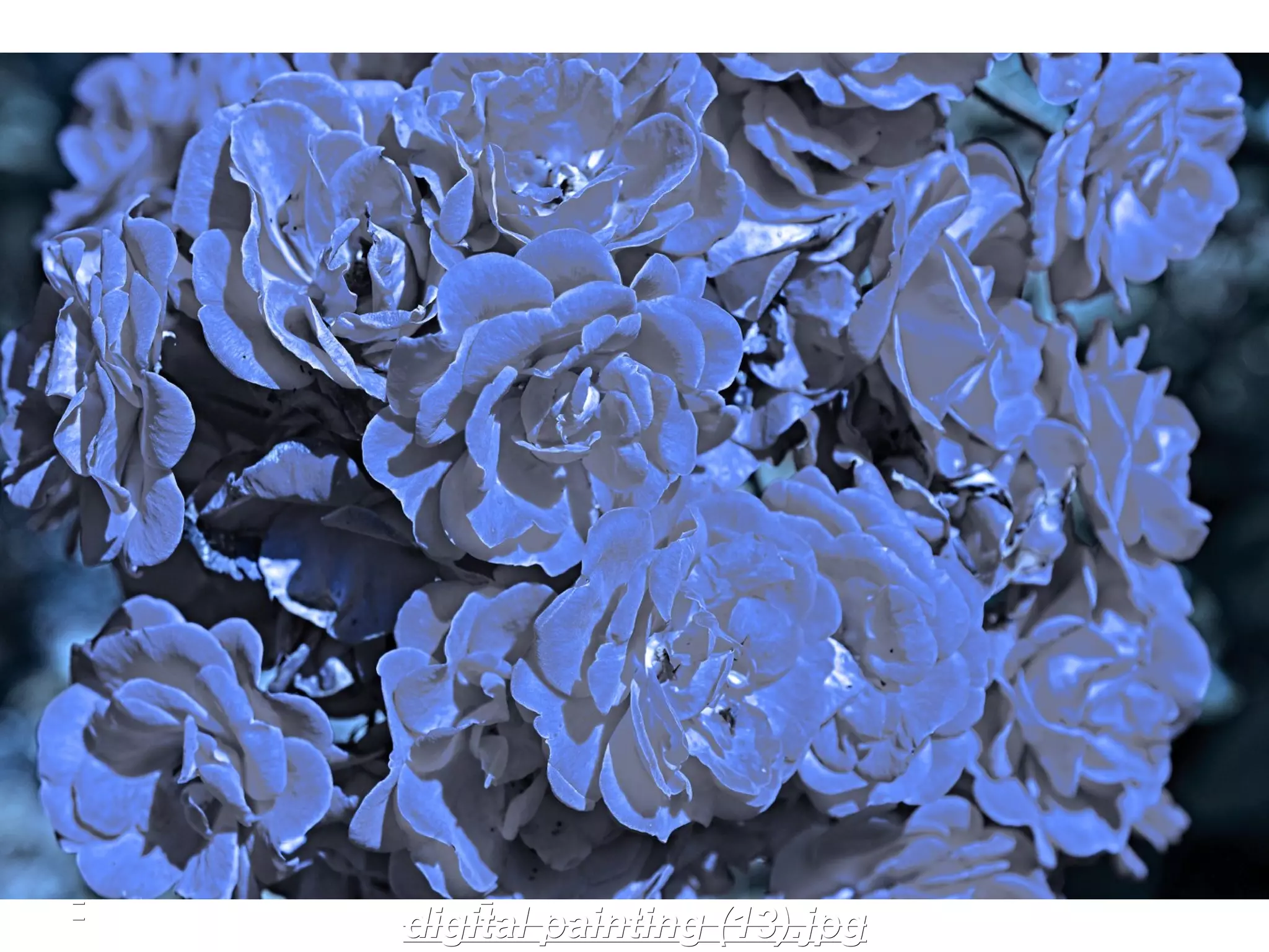 Rose in digital painting | PPT