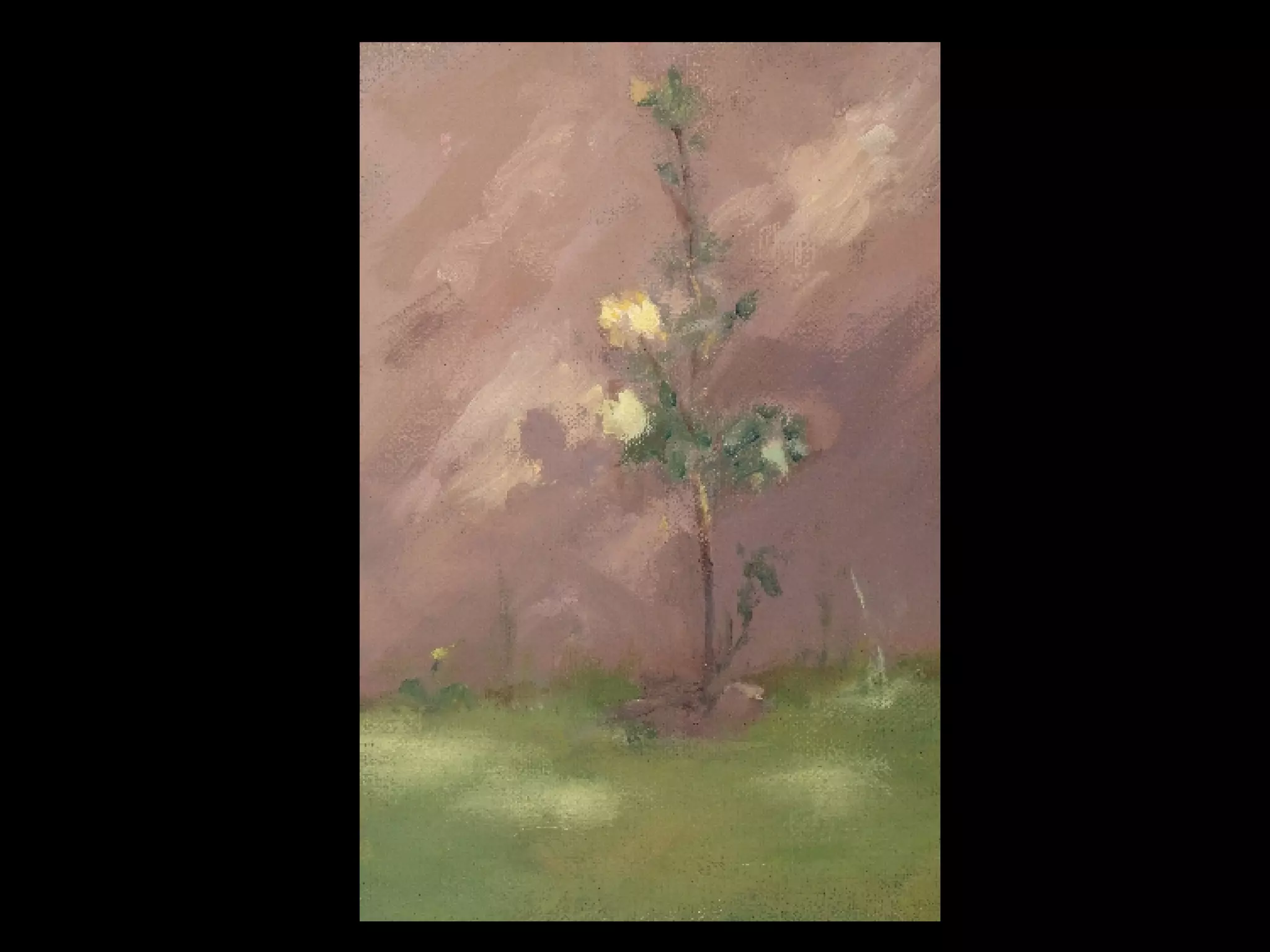 Paintings Slide Show | PPT