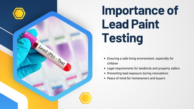 Paint Lead Testing: Ensuring Safety in Our Homes.pdf