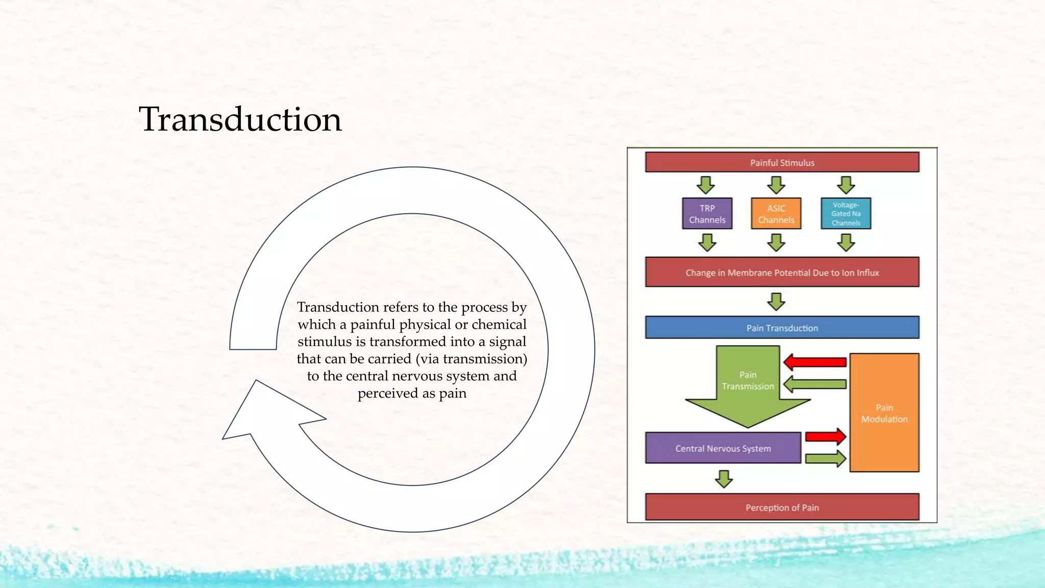 Pain transduction & transmission | PPTX