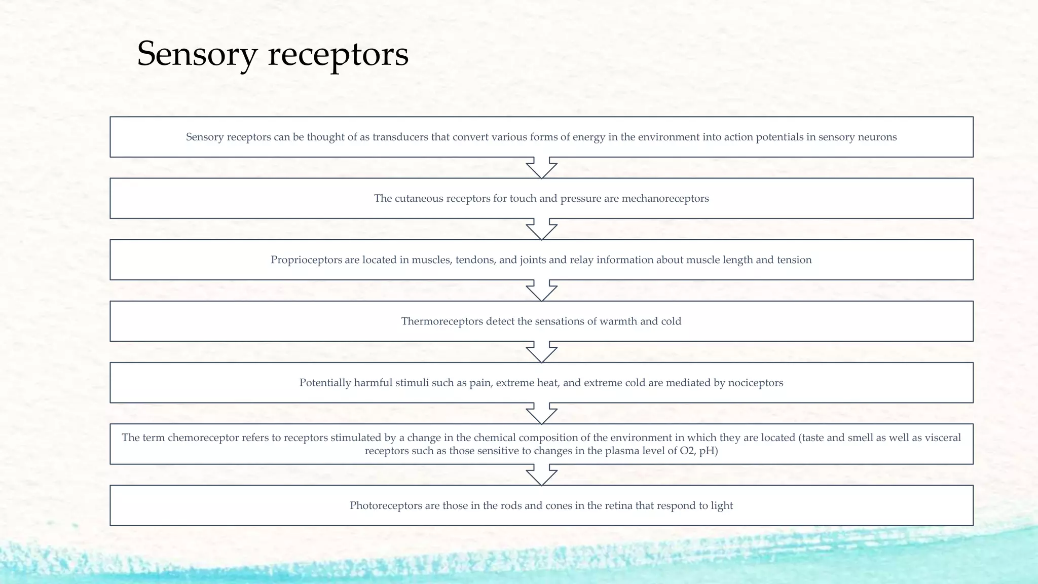 Pain transduction & transmission | PPTX
