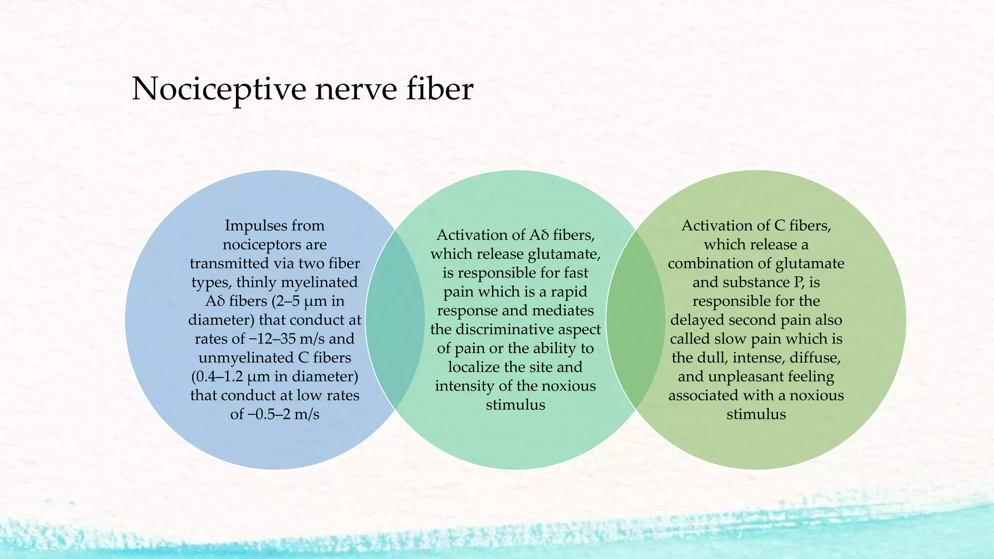 Pain transduction & transmission | PPTX