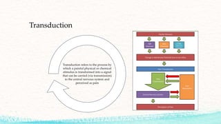 Pain transduction & transmission | PPTX
