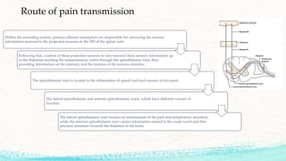 Pain transduction & transmission | PPTX