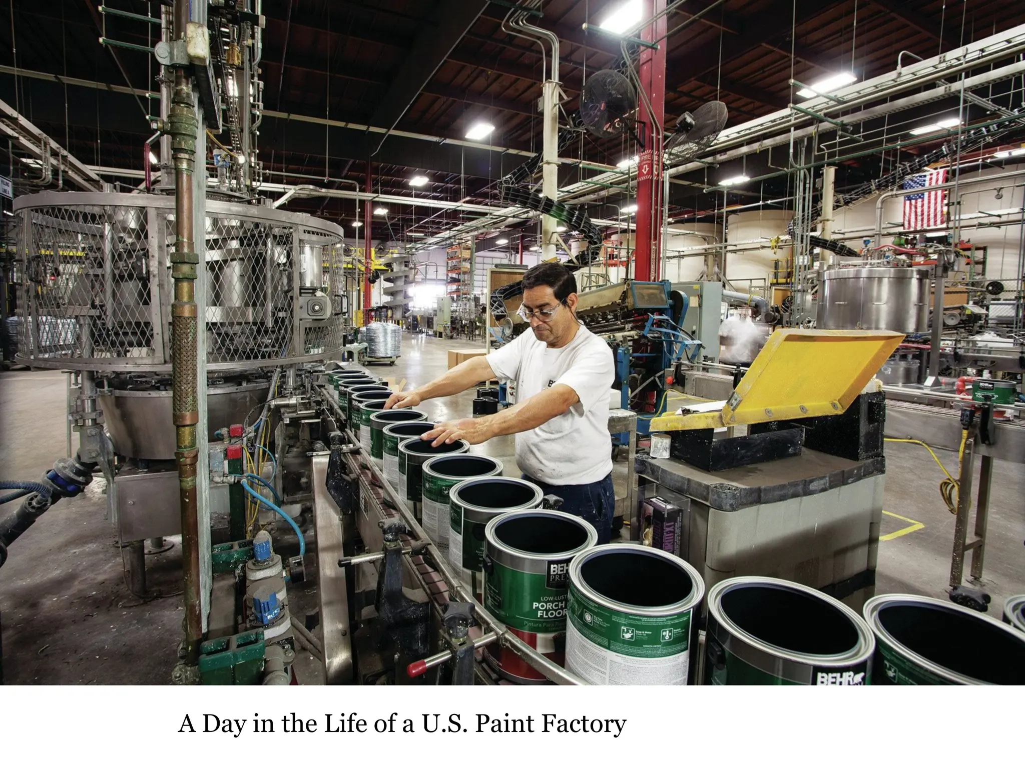 Paints and Varnishes, Chemical Process Technology.pptx