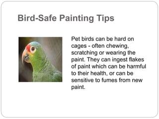 Paints,finishes, adhesives | PPTX