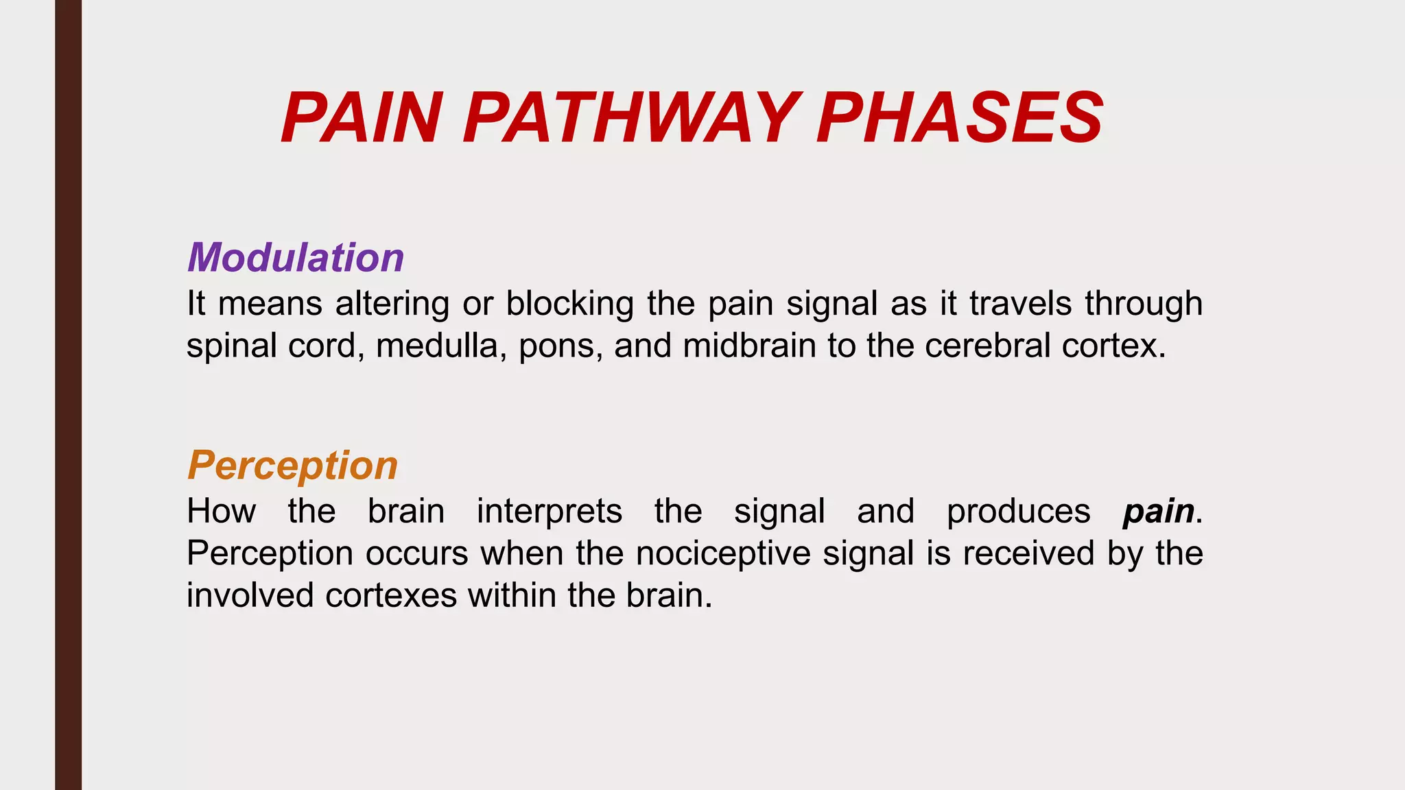 Pain Types & Physiology | PPTX