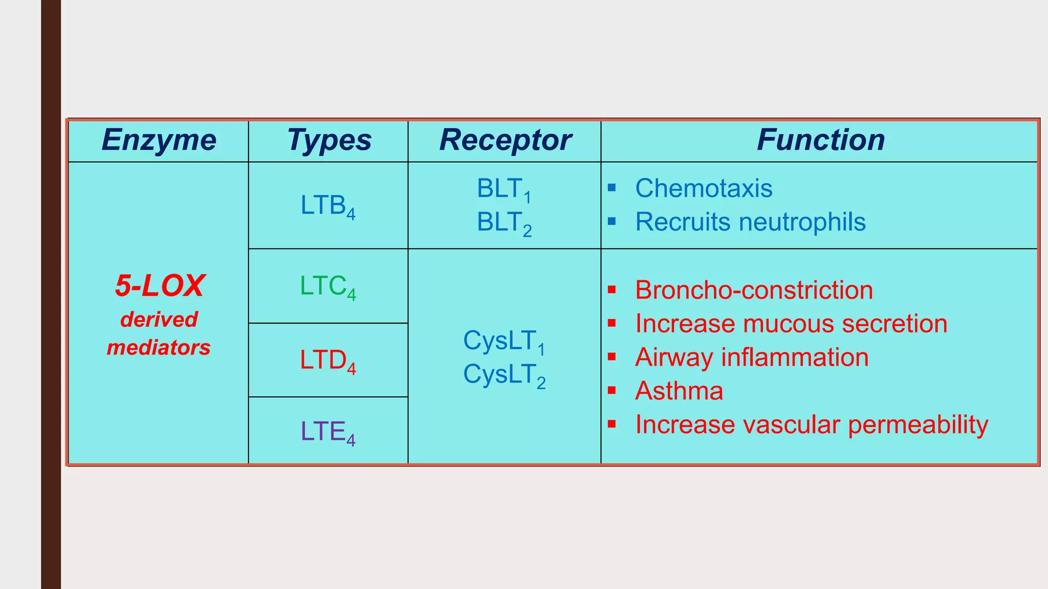 Pain Types & Physiology | PPTX
