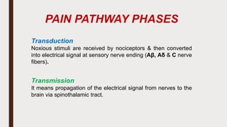 Pain Types & Physiology | PPTX