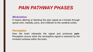 Pain Types & Physiology | PPTX
