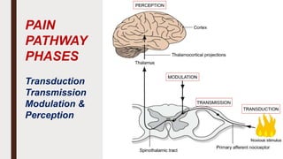 Pain Types & Physiology | PPTX