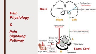 Pain Types & Physiology | PPTX