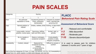 Pain Types & Physiology | PPTX