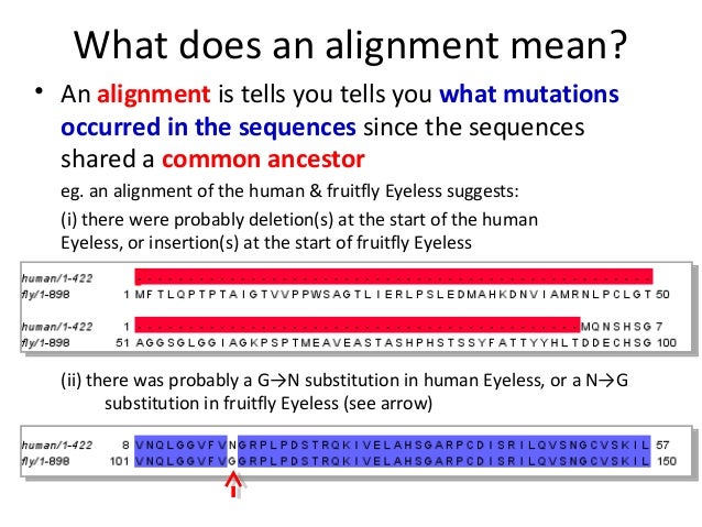 Pairwise sequence alignment Pairwise sequence alignment