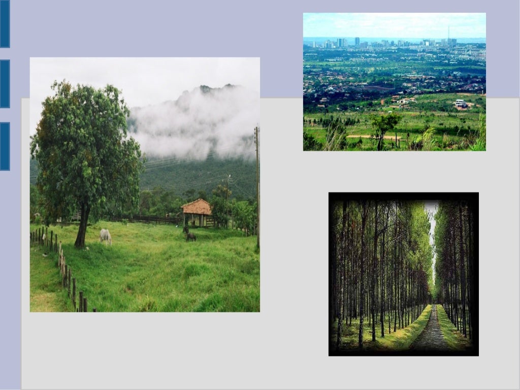 Paisagen natural e modificada pelo homem