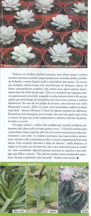 Mosaico Paisagismo - Gerson Munayer | PDF