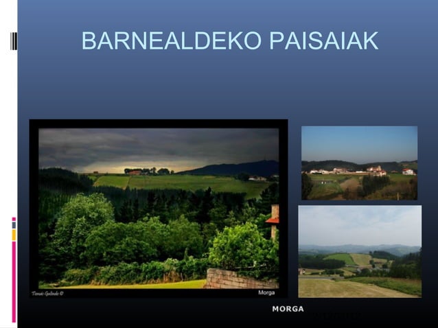 10.GAIA.EUSKAL HERRIKO PAISAIAK (I) | PPT