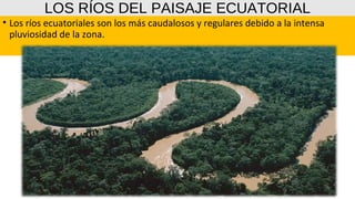 El Paisaje Ecuatorial | PPT