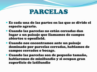 Paisajes agrarios | PPTX