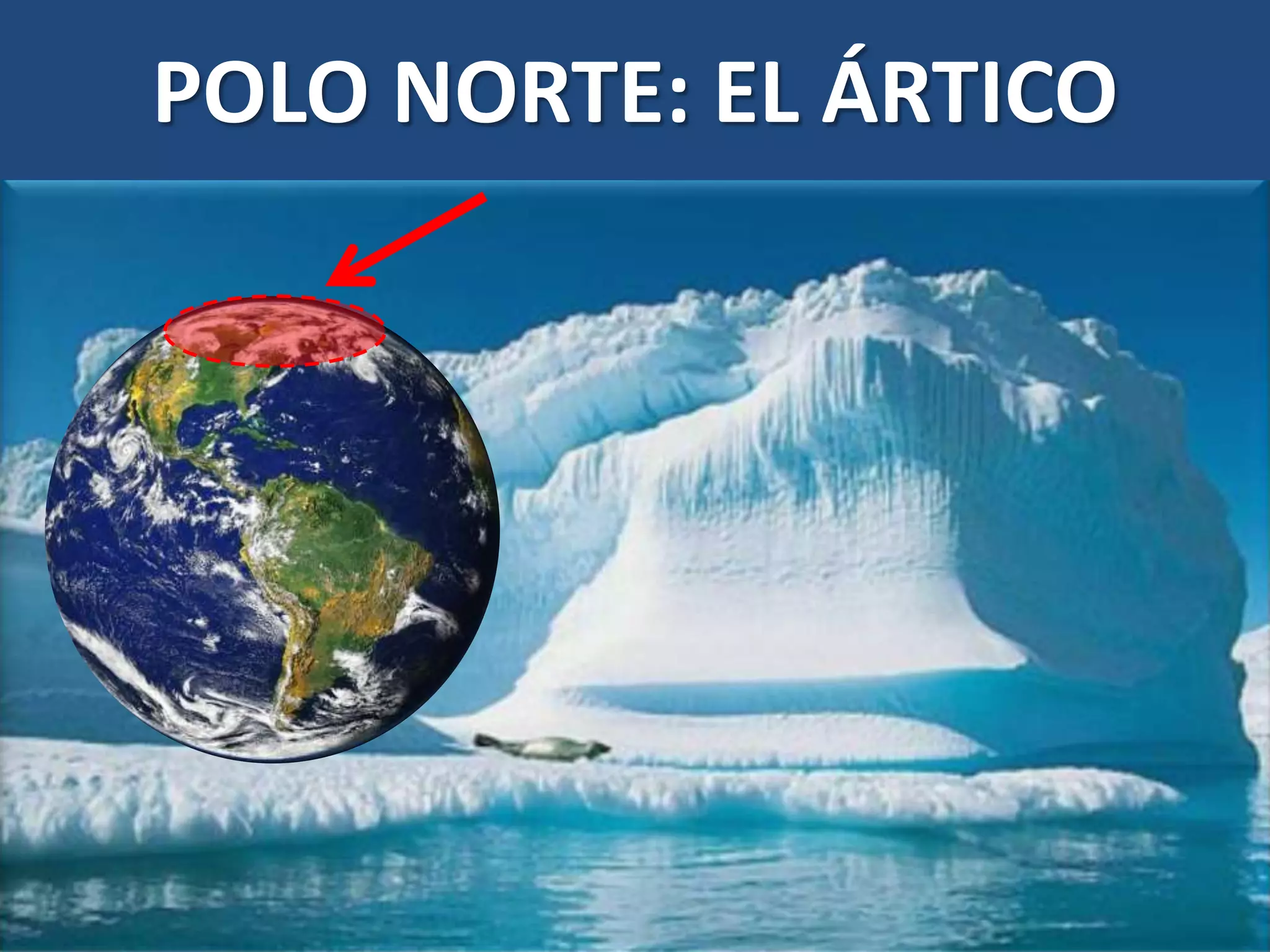 Paisajes helados: POLO NORTE Y POLO SUR. Fauna, costumbres, vídeos ...